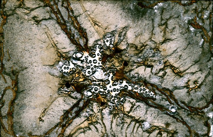 Compressed Leaf - Colin Hunt's PhotoArt - Photography, Abstract ...