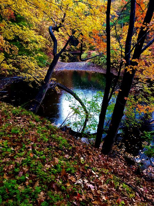 Autumn at the Pond - Cantor Photography - Photography, Landscapes ...
