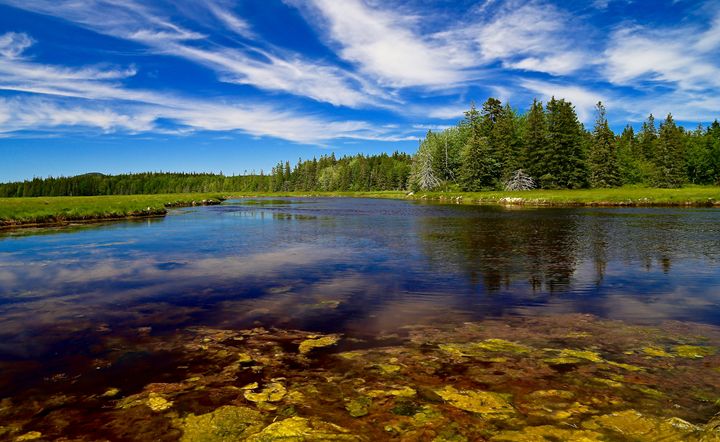 Acadia - Pond and Meadow - Cantor Photography - Photography, Landscapes ...