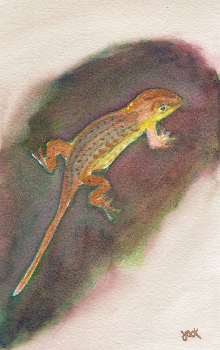 Curious Gecko - jack in Key West - Paintings & Prints, Animals, Birds ...