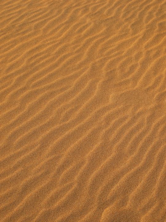 Sand Dune Ripples - McCarthy's PhotoWorks - Photography, Landscapes ...