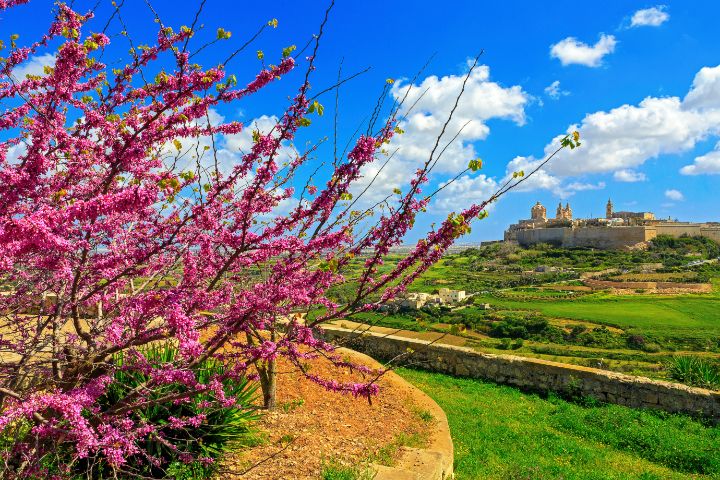 View of Mdina - McCarthy's PhotoWorks - Photography, Landscapes ...