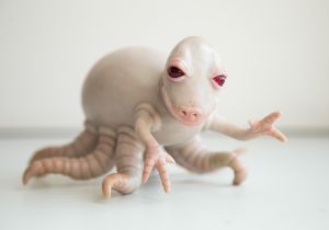 Squidie - Ivan Grodzensky - Sculptures & Carvings, Fantasy & Mythology ...