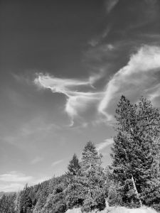 Shawny Fin - Photography, Paintings & Prints, Drawings & Illustration