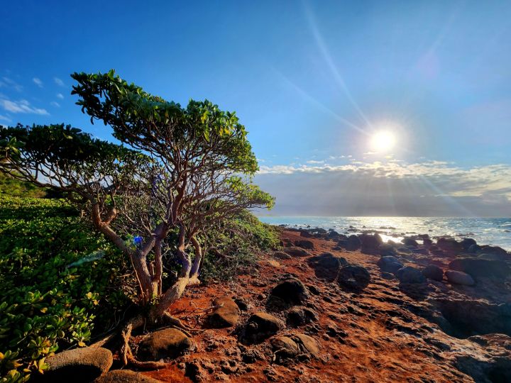 Baby Beach - Shawny Fin - Photography, Landscapes & Nature, Beach ...