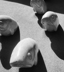Shawny Fin - Photography, Paintings & Prints, Drawings & Illustration