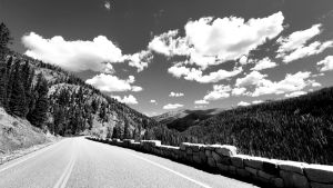 Shawny Fin - Photography, Paintings & Prints, Drawings & Illustration