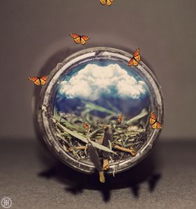 Brandon Halley Photography - Digital Art