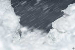 Brandon Halley Photography - Digital Art