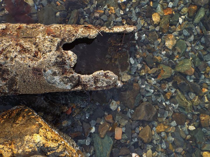 the pipeline - Natasha R. Shacklett - Photography, Still Life, Other ...