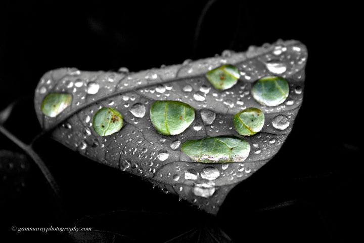 Gamma Ray Photography - Photography