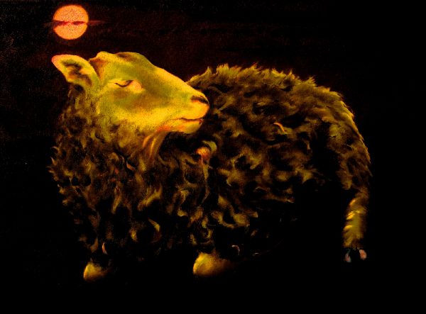 Sheep at Night - Mark Cawood - Digital Art & AI, Animals, Birds, & Fish ...