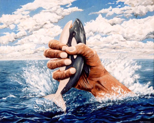 Stop Whaling - Mark Cawood - Paintings & Prints, Animals, Birds, & Fish ...
