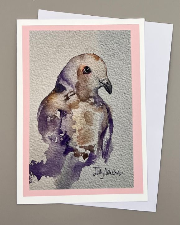 Dove notecard B0014 - watercolorsbyjudy - Paintings & Prints, Animals ...