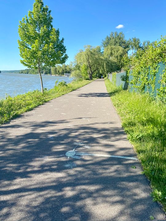 Ali Cat - Photography, Drawings & Illustration