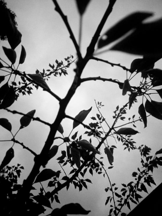 Yarema Semaniv - Photography