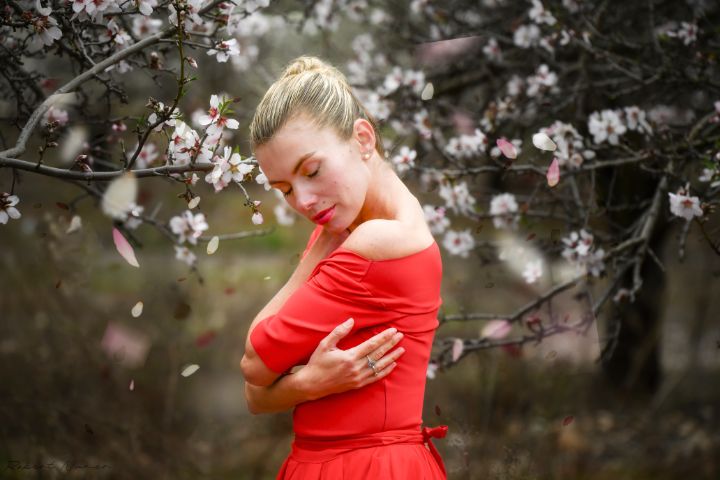 Natach Portrait - Portofolio - Photography, Flowers, Plants, & Trees ...