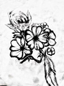 Samuel Lytle - Drawings & Illustration