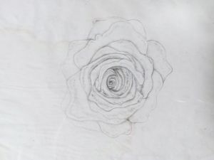 Samuel Lytle - Drawings & Illustration