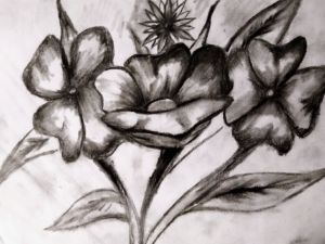 Samuel Lytle - Drawings & Illustration