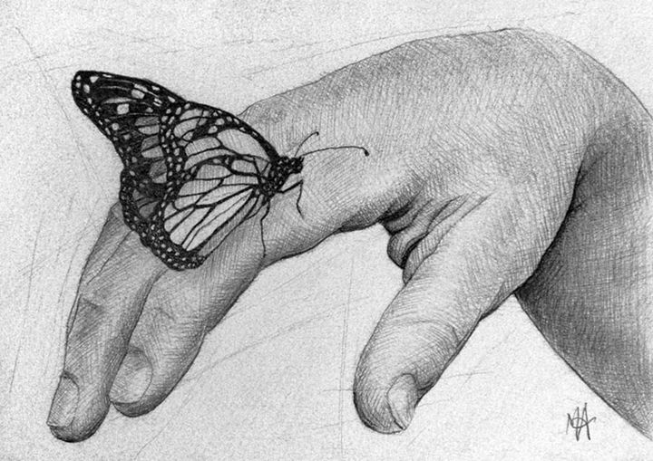 Butterfly - Artist Print - Marc Alexander - Drawings & Illustration ...