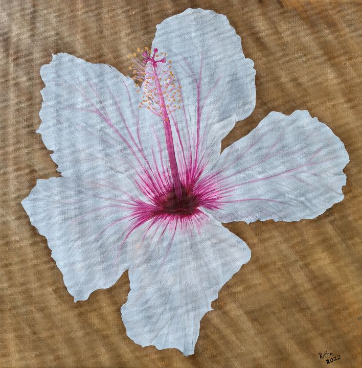 Pretty in pink - Maretha du Preez - Paintings & Prints, Flowers, Plants ...