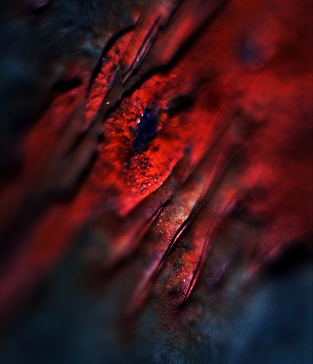 Rusted metal gash texture - Philippe Legault - Photography, Abstract ...