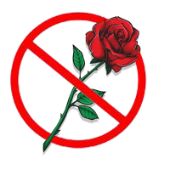 No Roses - Paintings & Prints