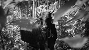 Derrick Block Photography - Photography