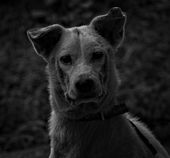 Derrick Block Photography - Photography