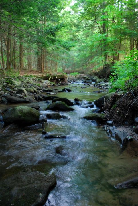 River - Photography - Photography, Landscapes & Nature, Rivers & Creeks ...