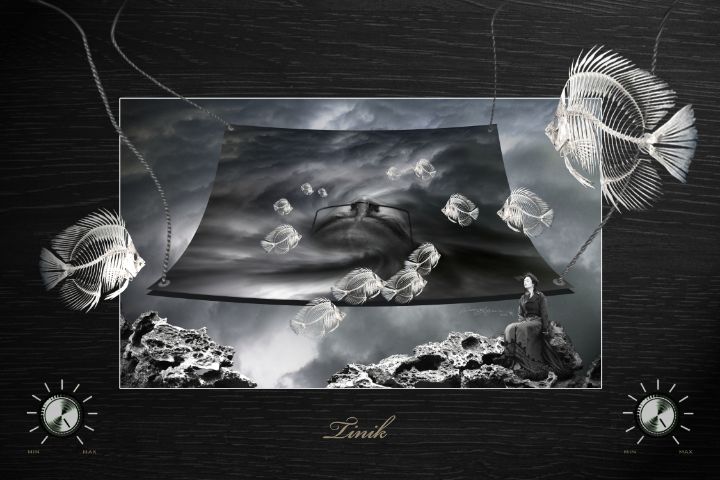 Tinik - ego eimi graphics - Drawings & Illustration, Animals, Birds ...