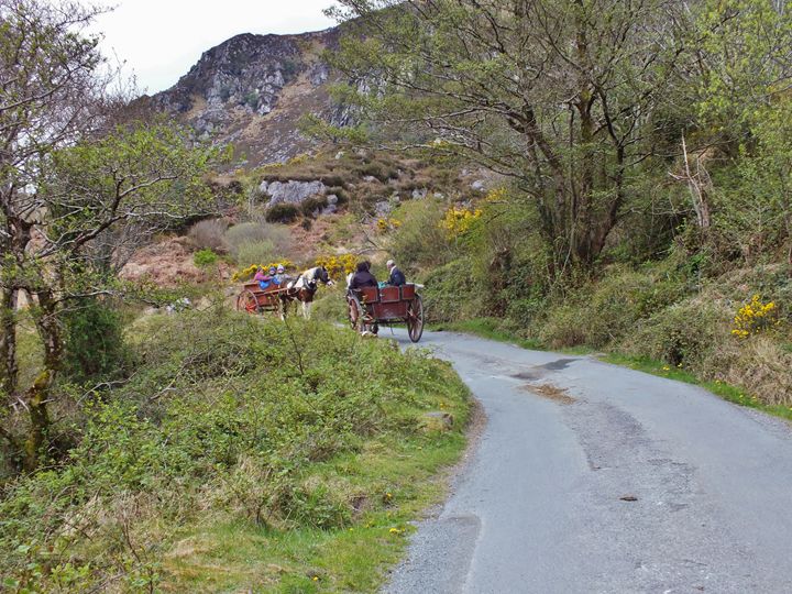 Traffic Jam Ireland - Pictures of Ireland - Photography, Landscapes ...