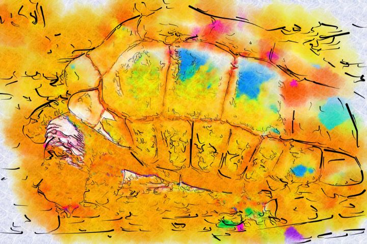 Turtle's Tale A Journey of Patience - Merav Digital Art - Drawings ...