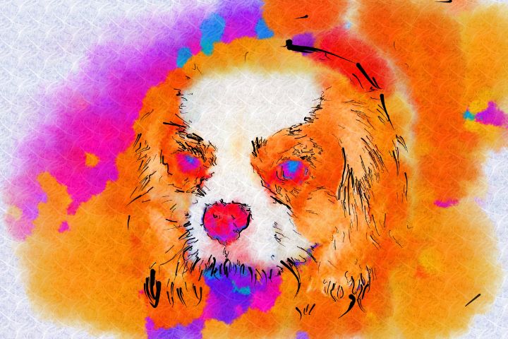 Cavalier Canvases drawing - Merav Digital Art - Paintings & Prints ...