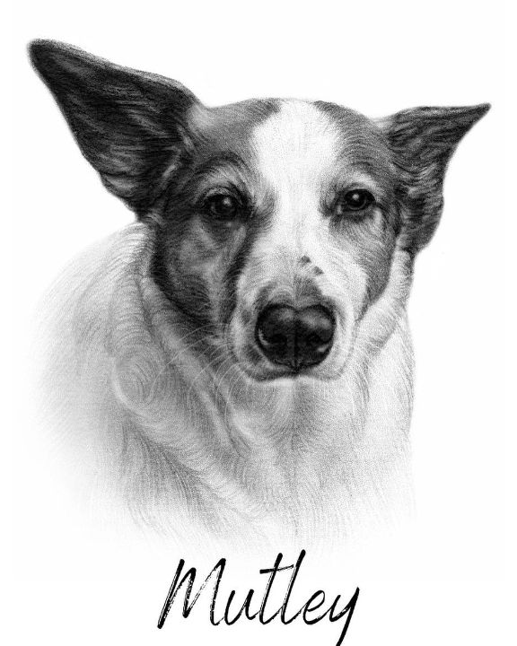 Custom Painting Pet Portrait - PixelPlanet - Digital Art, Animals ...