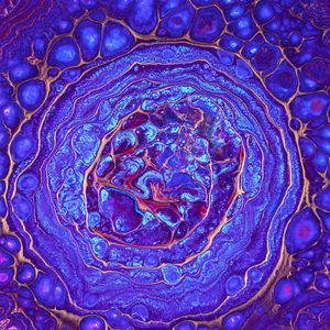 Seeking Art by Mark Henderson - Paintings & Prints