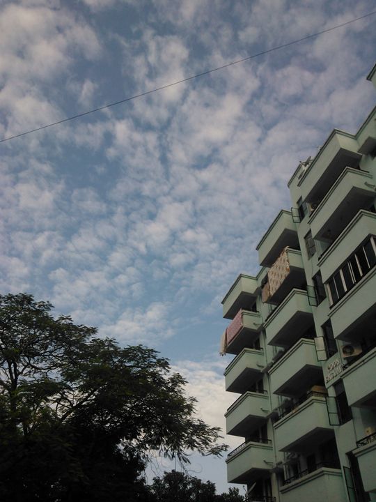 Baa. - Photography, Paintings & Prints