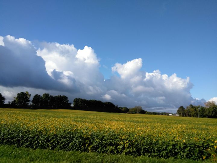 Spring sky - Jessica's art, crafts, photography, - Photography ...