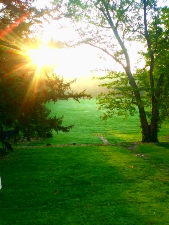 Fresh morning air - Jessica's art, crafts, photography, - Photography ...