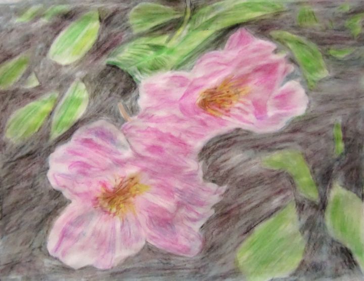 Wild Prairie Roses - Kaleidoscopic Visions - Drawings & Illustration ...