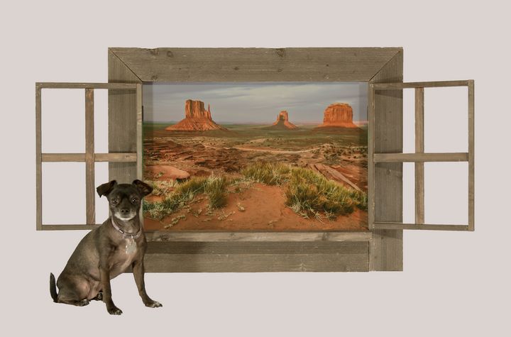 For Frame display purpose - Behind The Shutter - Photography ...