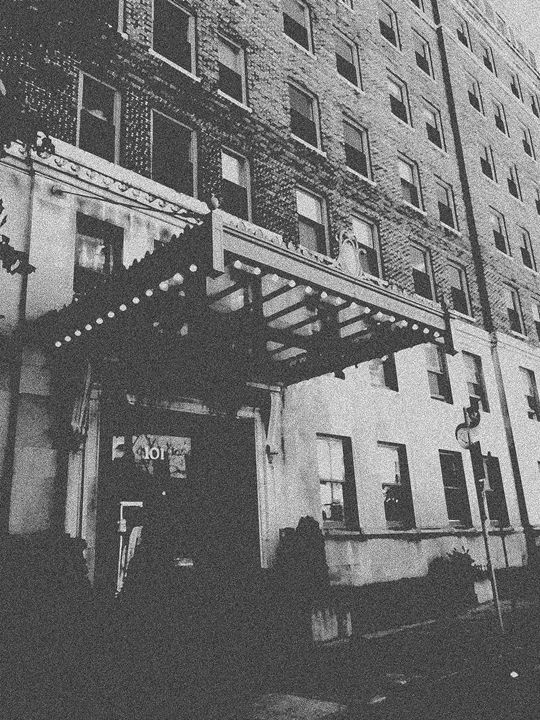 A Lovely Gallery - Photography