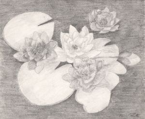 David Forster - Paintings & Prints, Drawings & Illustration