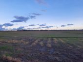 OnaLee - Digital Art & AI, Photography