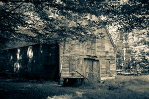 Mandi May photography - Photography