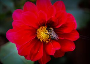 Mandi May photography - Photography