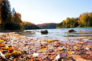 Mandi May photography - Photography