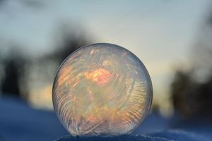 Mandi May photography - Photography