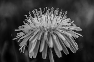 Mandi May photography - Photography